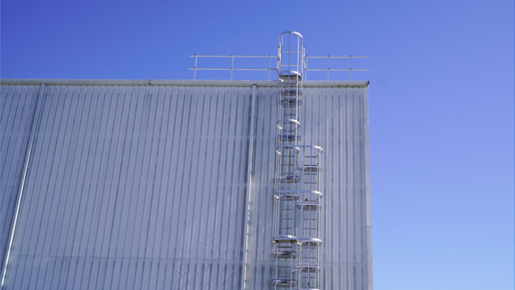 Dangers of Fixed Ladders with Cages – Safe Keeper Fall Protection ...